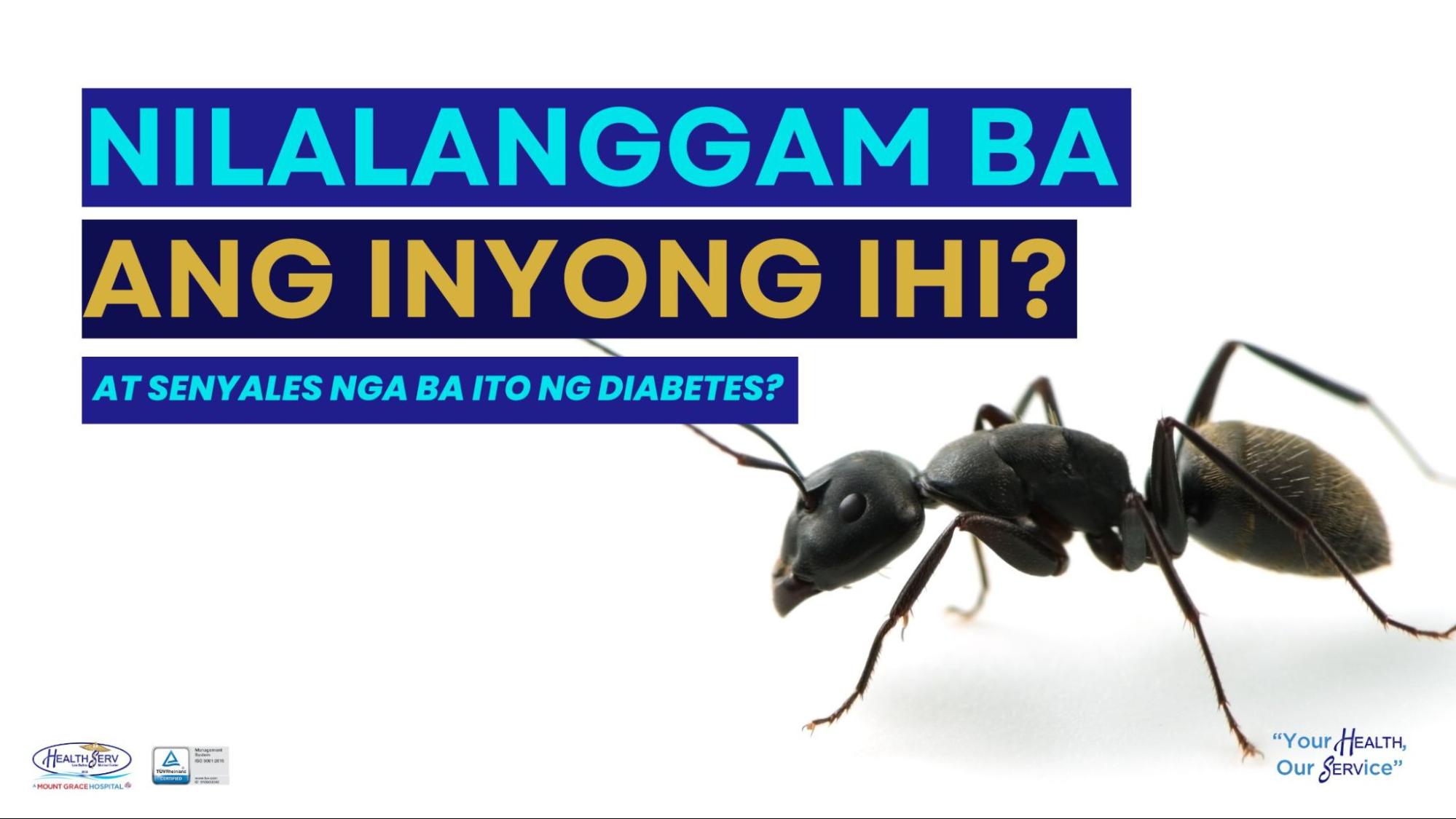 Nilalanggam na Ihi: Diabetes - Healthserv Los Baños Medical Center